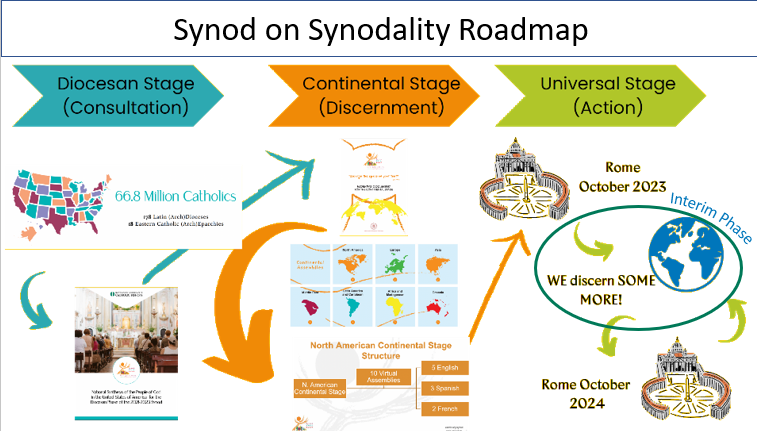 Detroit Synodality Collaboration